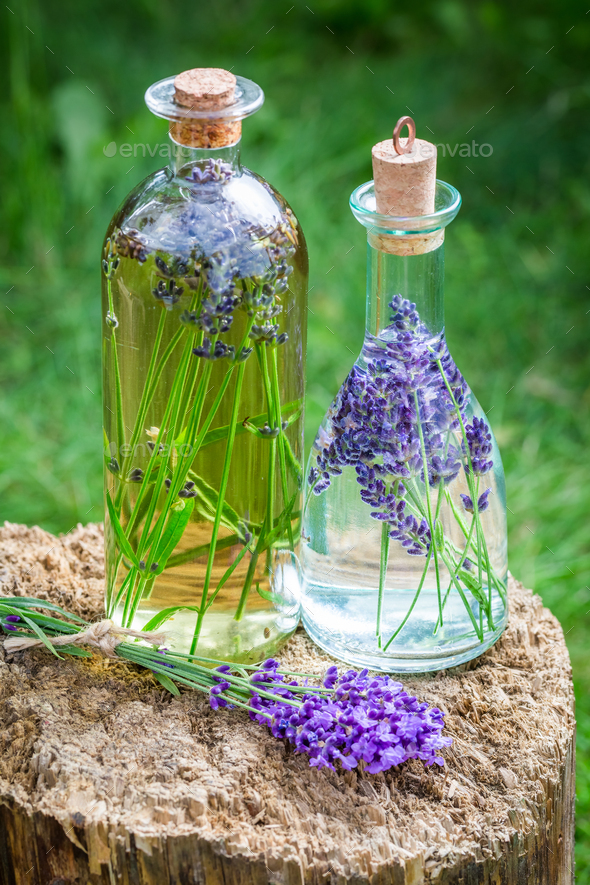 Homemade healthy tincture of lavender Stock Photo by Shaiith | PhotoDune