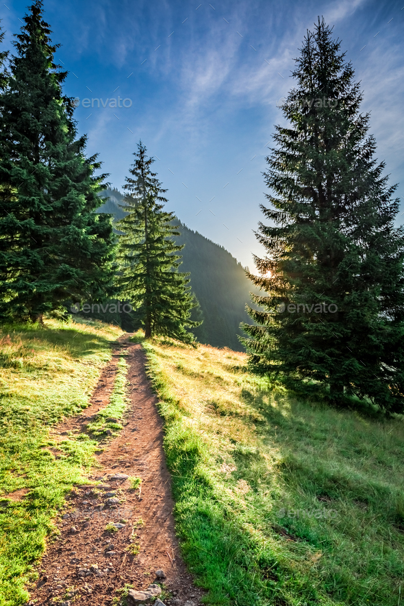Wonderful dawn in Valley Chocholowska, Tatra Mountains in summer Stock ...