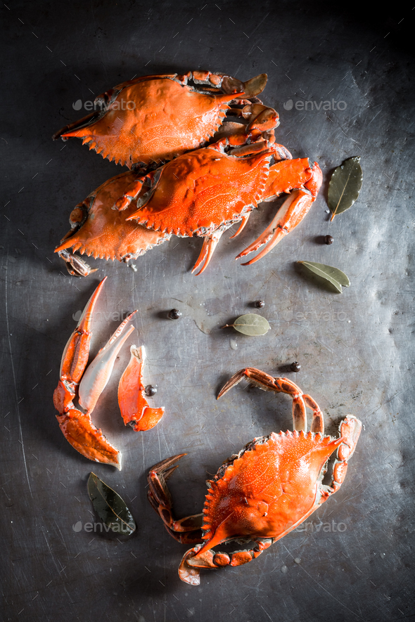 Preparation for fresh crab in a old metal pot Stock Photo by Shaiith