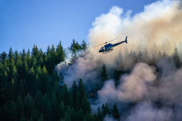 Helicopter fighting BC forest fires during a hot sunny summer day Stock ...