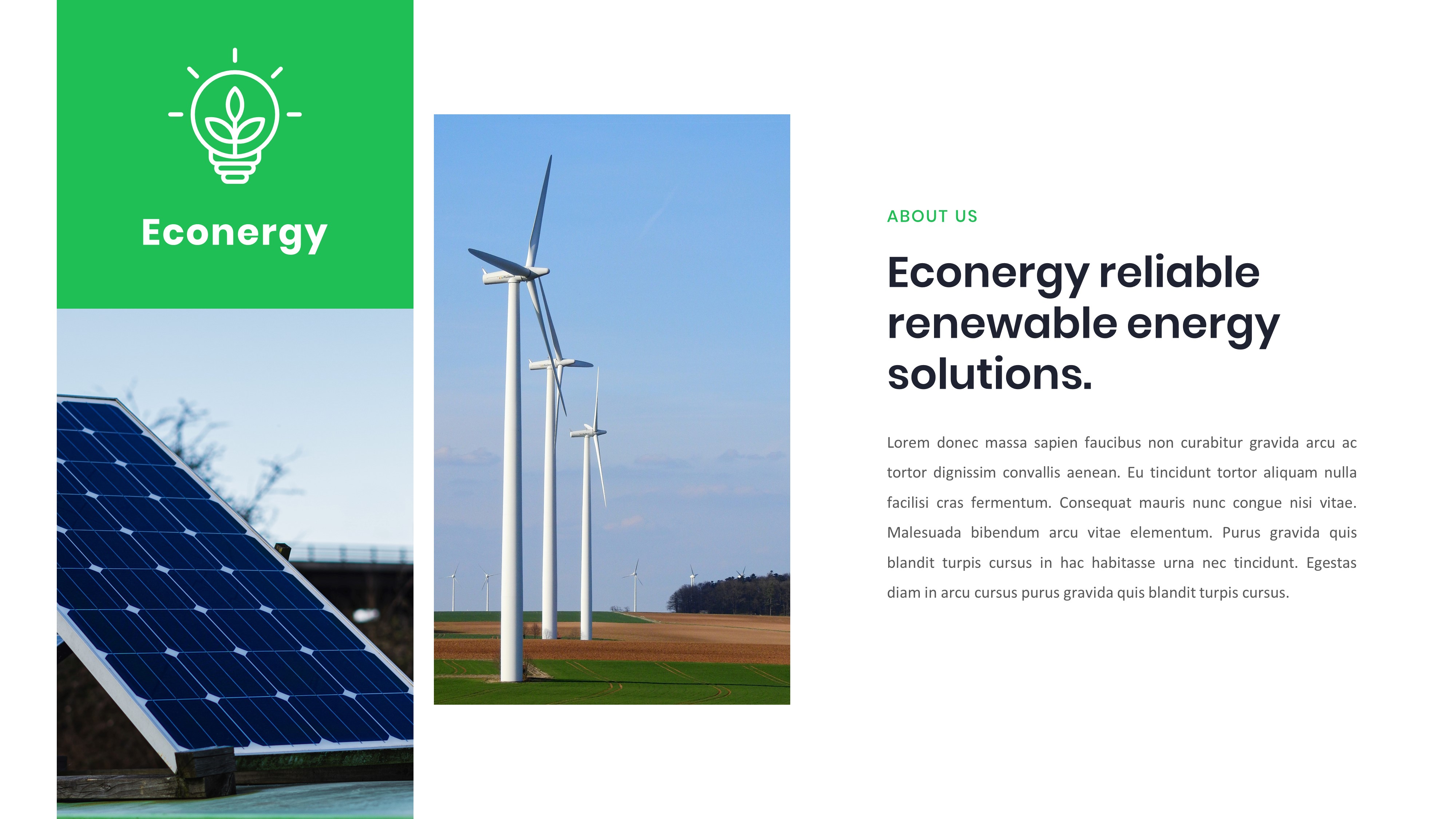 Econergy - Renewable Energy Google Slide Template, Presentation Templates
