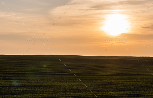 scenic landscape with mowed field in sunset in ukraine Stock Photo by ...