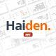 Haiden Business Powerpoint Presentation Template, Presentation Templates