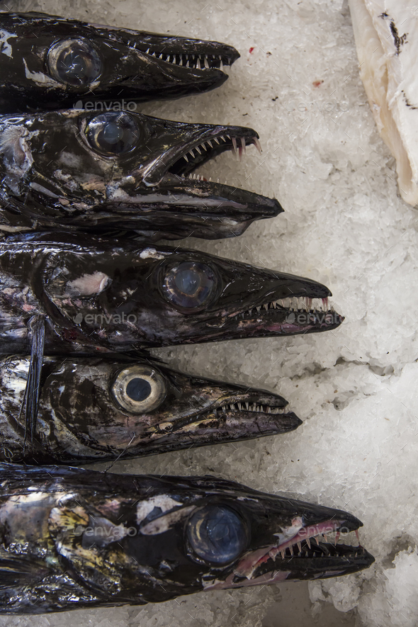 Espada fish on traditional fish market in Funchal at Madeira island ...