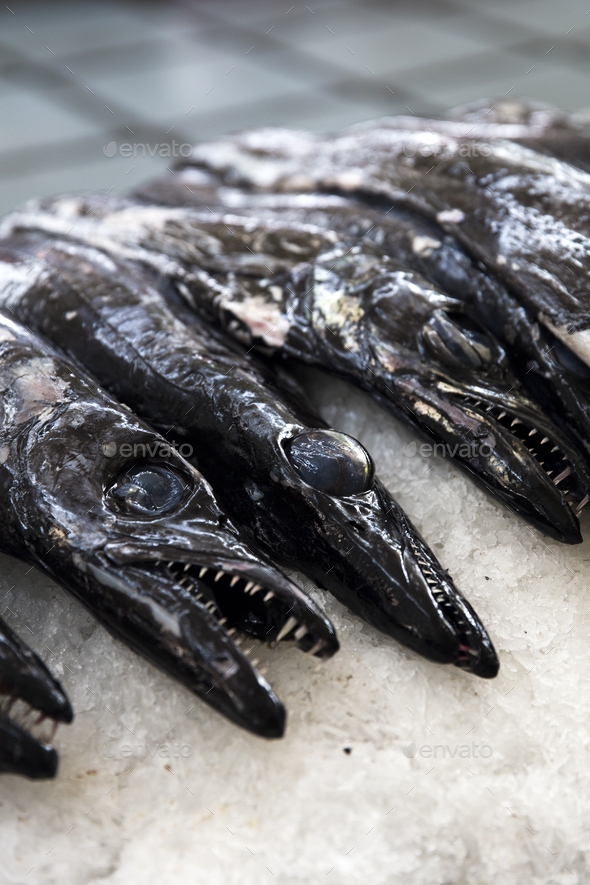 Espada fish on traditional fish market in Funchal at Madeira island ...