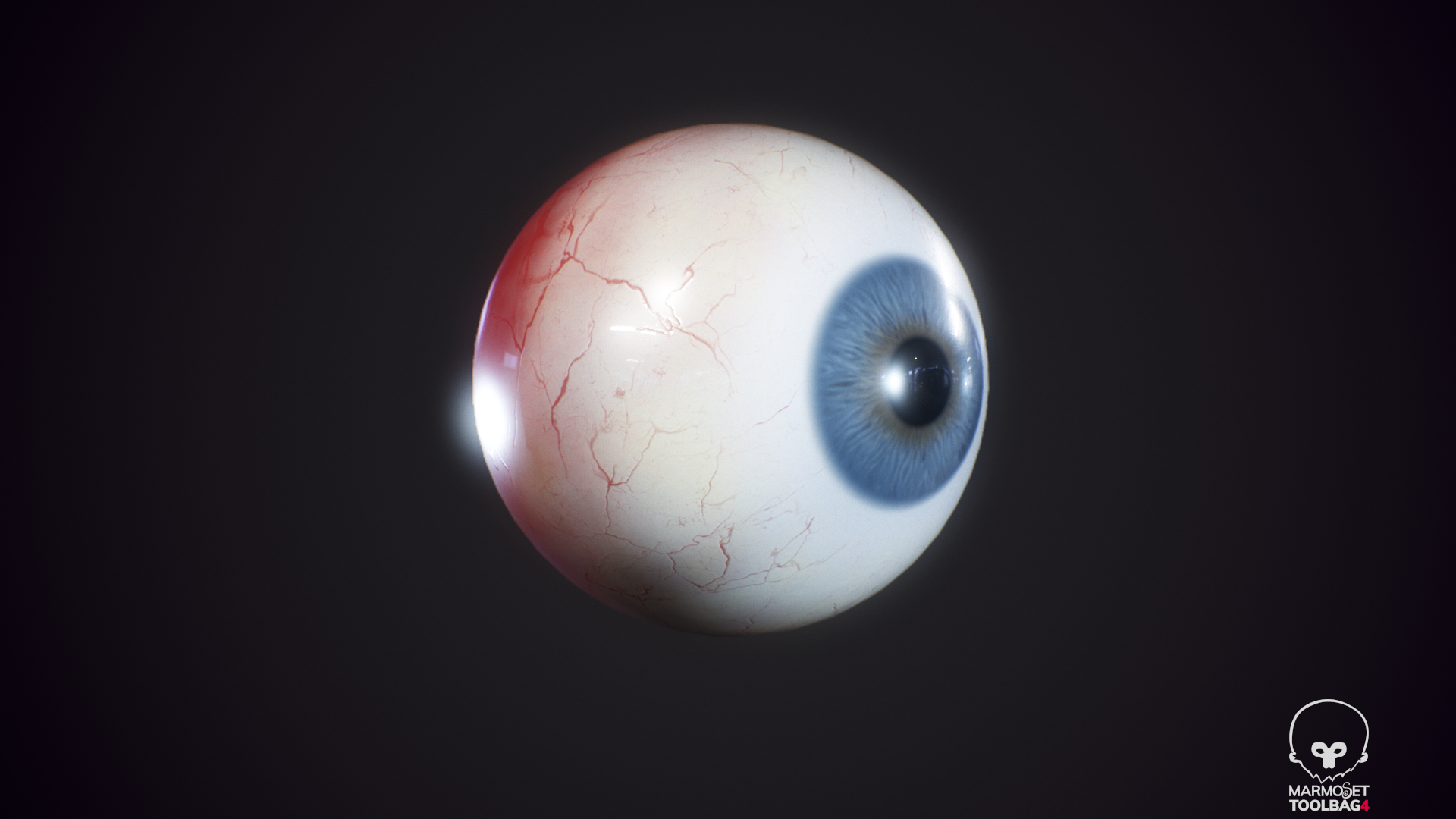 Human Eyeball Realistic by ahmadali55 | 3DOcean
