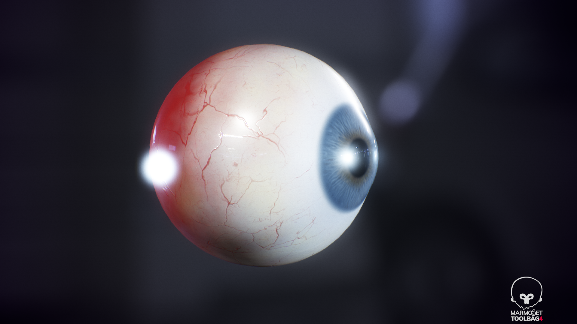 Human Eyeball Realistic by ahmadali55 | 3DOcean