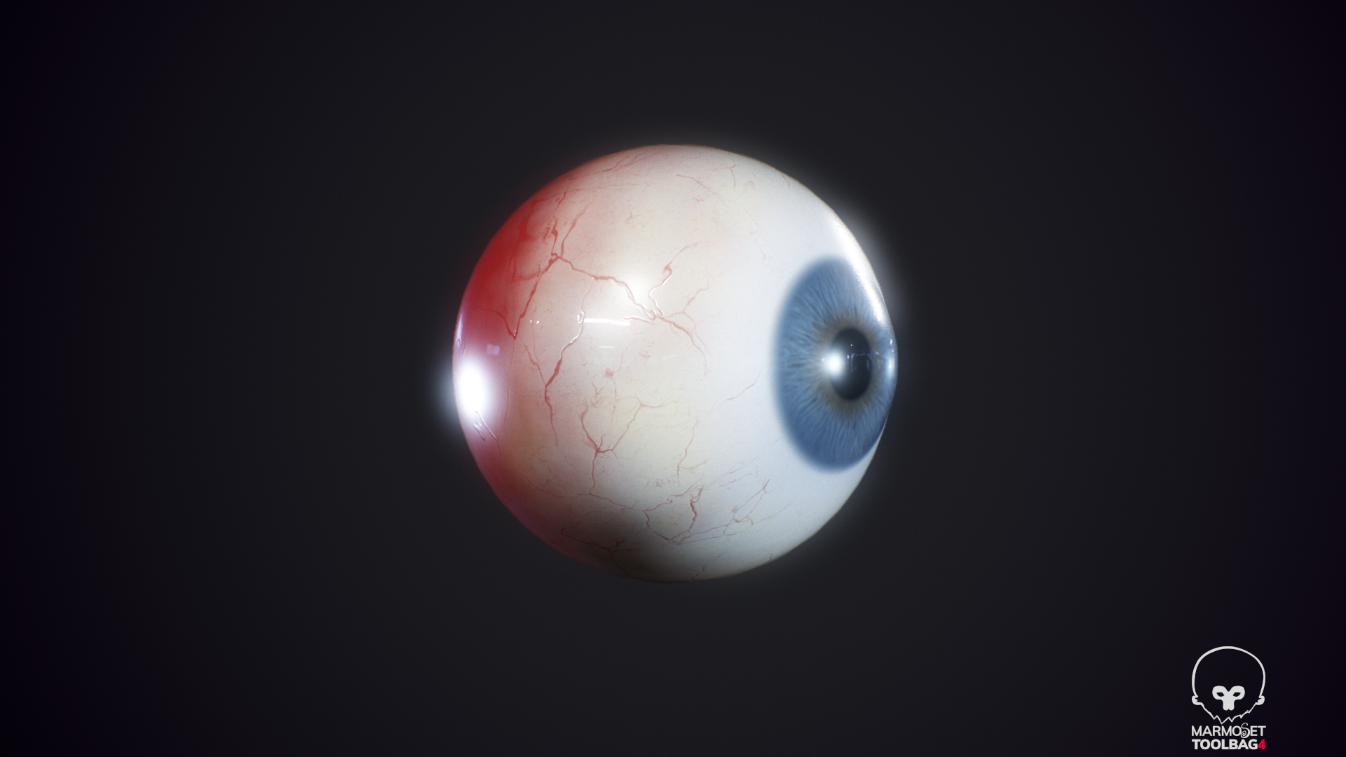 Human Eyeball Realistic by ahmadali55 | 3DOcean
