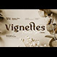 Vignettes - Feminine Type, Fonts | GraphicRiver