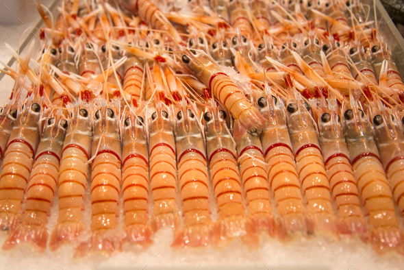 Scampi Stock Photo by BGStock72 | PhotoDune