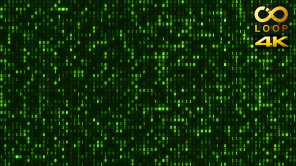 Binary Code Matrix, Motion Graphics | VideoHive