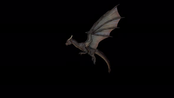 4K Dragon Flying Side View, Motion Graphics | VideoHive
