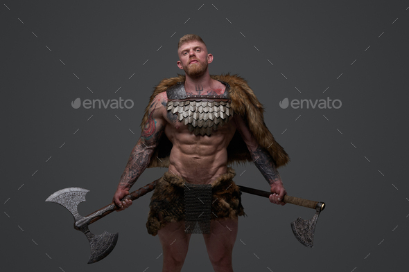 Proud viking dressed in fur and armor holding two axes Stock Photo by ...