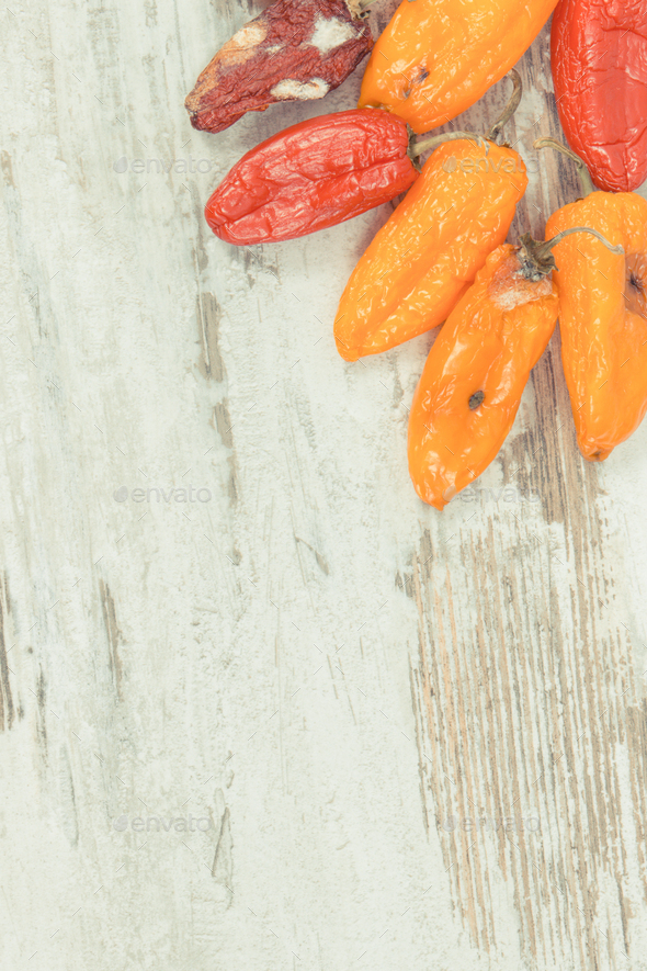 Old, moldy and wrinkled peppers. Unhealthy, decompose, spoiled ...