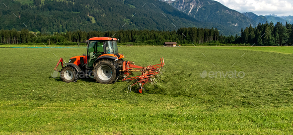 collecting grass Stock Photo by EdVal | PhotoDune