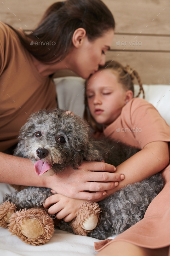 Girl Sleeping with Dog Stock Photo by DragonImages | PhotoDune