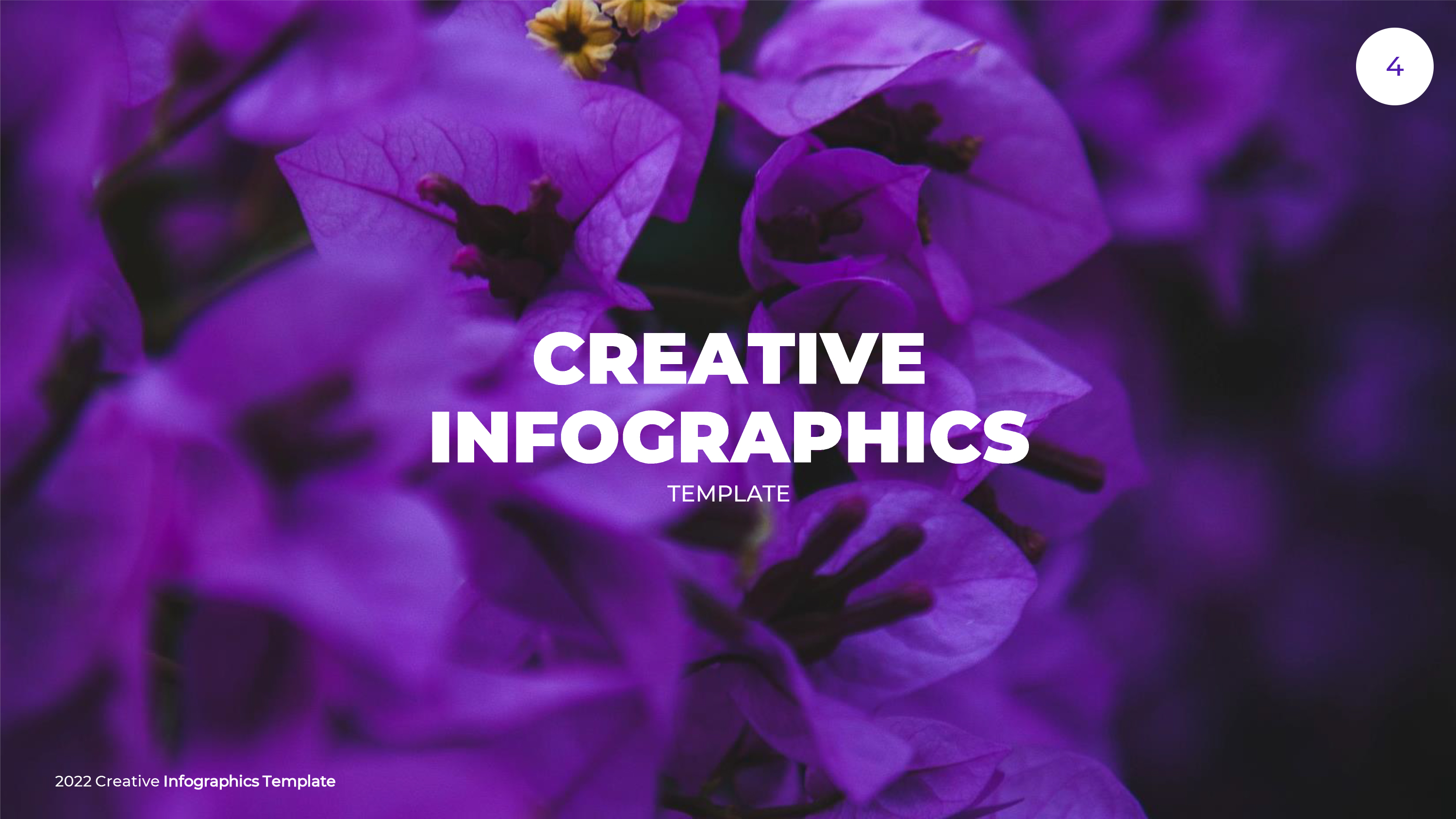 Creative Infographic PowerPoint Templates, Presentation Templates ...