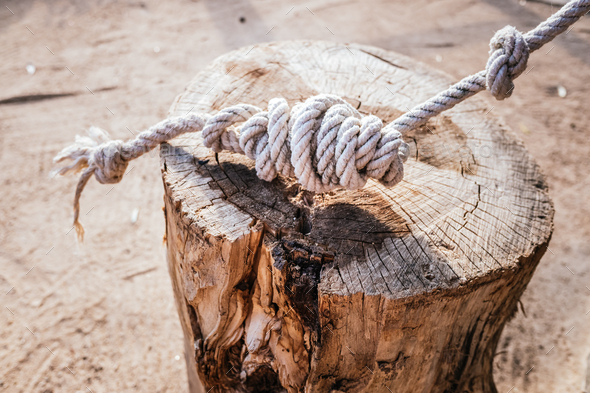 Detail of a complicated rope knot securely tied to a log. Stock Photo ...