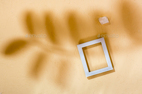 Modern abstract life style background: concrete, empty photo frame and ...