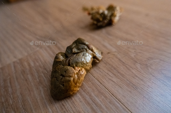 Human stool of a baby on the floor of his room. Stock Photo by ...