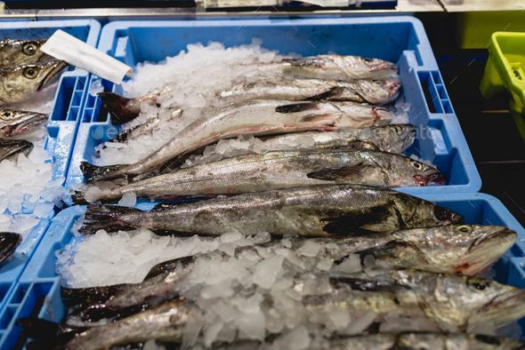 Hake fish in a box with ice in a fishmonger. Stock Photo by joaquincorbalan