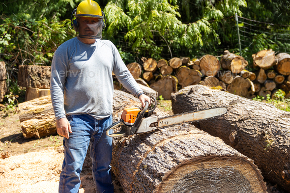 Man cutting logs from tree in forest for firewood using a chainsaw and ...