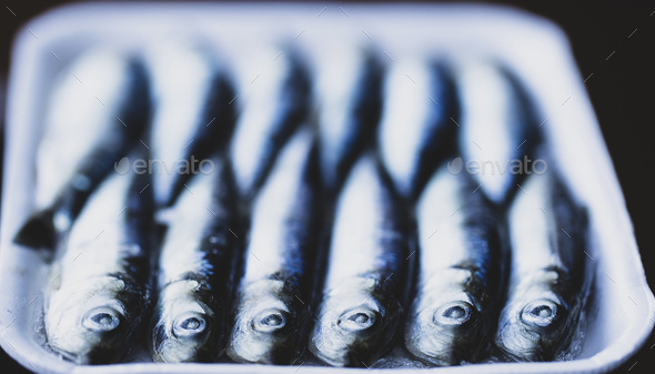 Herring bait fish frozen together used to catch salmon and other ...