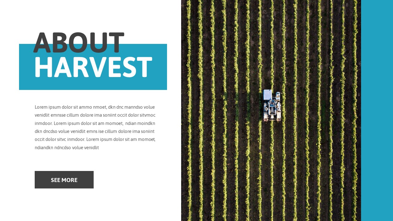 Harvest- Farming & Multipurpose Google Slide Template, Presentation ...