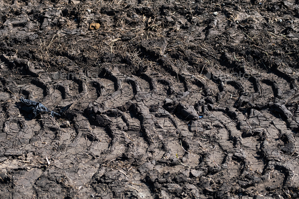 Tire Tracks Protector on Dirt. Wheel's Trail Tread. Stock Photo by ...