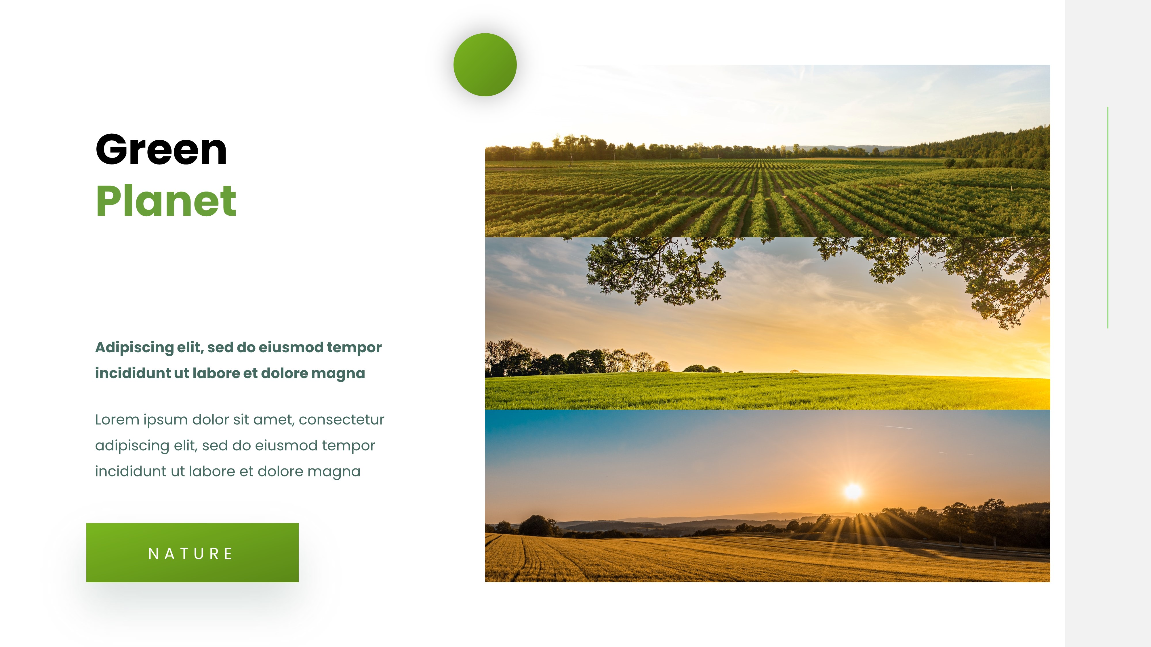 Nature Presentation Templates, Presentation Templates | GraphicRiver