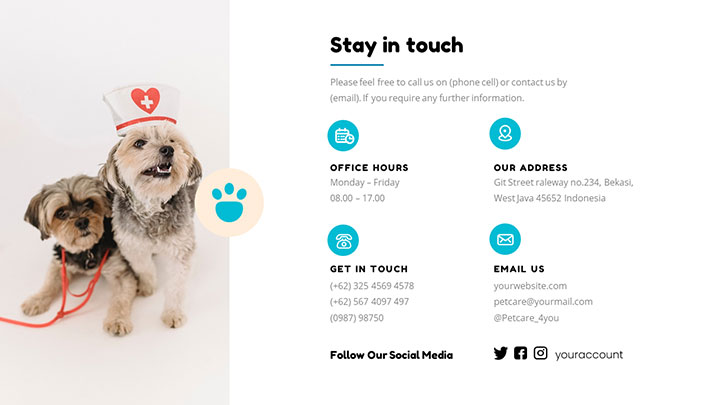 Pet Care Presentation Template, Presentation Templates | GraphicRiver