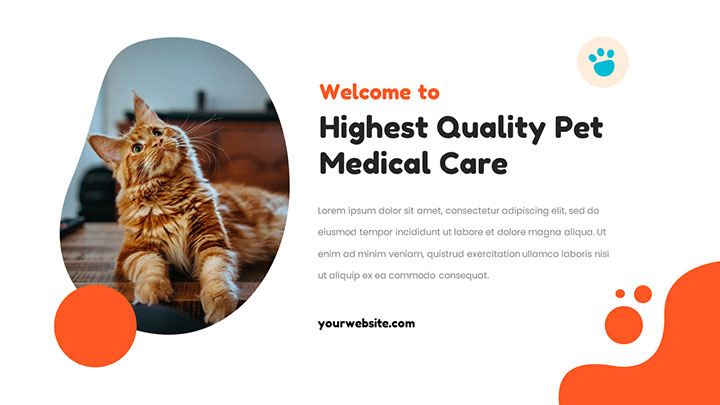 Pet Care Presentation Template, Presentation Templates | GraphicRiver