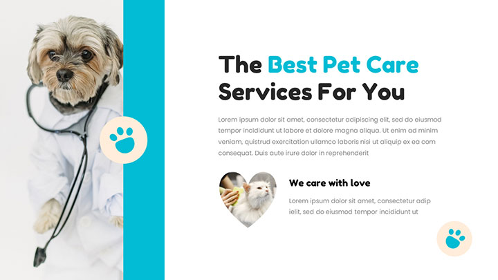 Pet Care Presentation Template, Presentation Templates | GraphicRiver