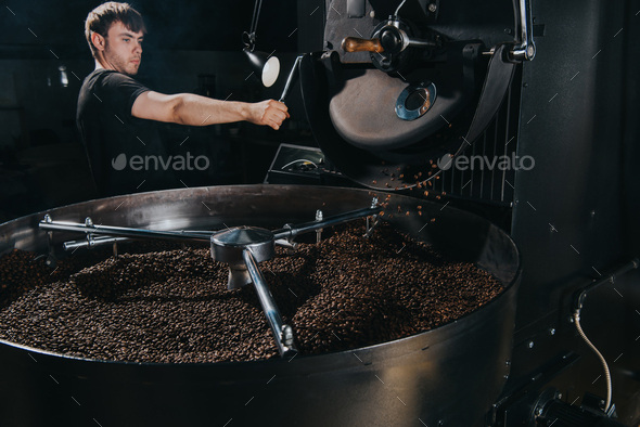 Professional male roaster working with industrial roasting machine ...