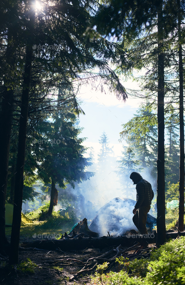 Tent among fir trees under the rays of sun. Guy making fire and smoke ...