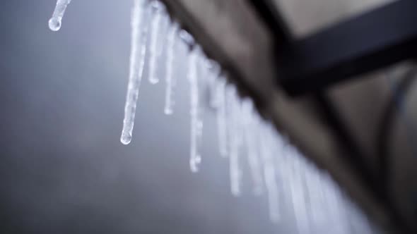 Frozen Raindrops After a Cold Snap in Winter, Stock Footage | VideoHive