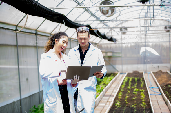 Organic Farmer Eco Agriculture researchers at smart organic farm ...