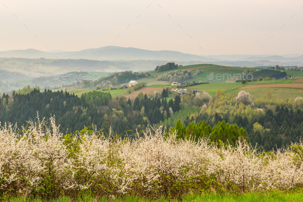 Rural Landscape at Spring Sunrise in Poland Stock Photo by merc67 ...