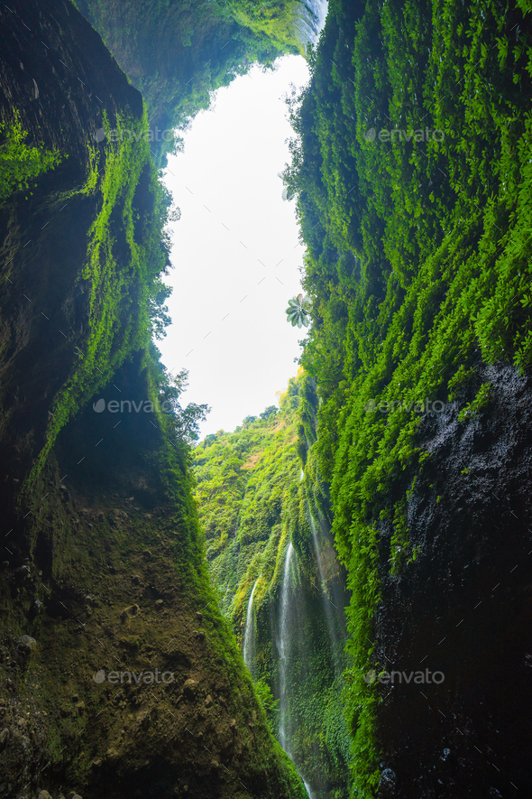 Nature landscape background in Java island, Indonesia Stock Photo by ...
