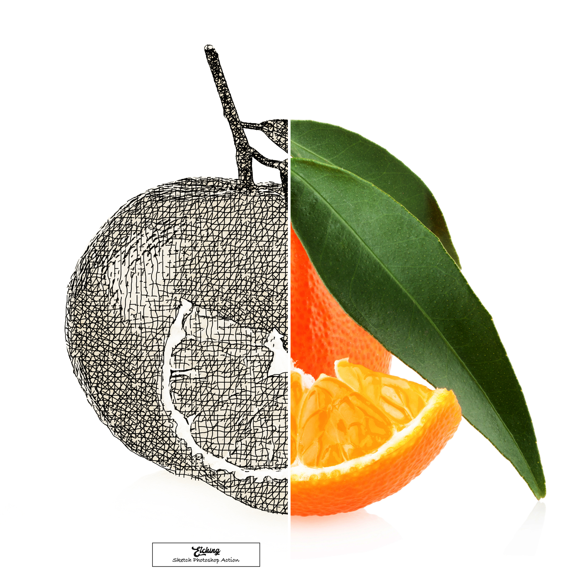 Etching Sketch Photoshop Action, Add-ons | GraphicRiver