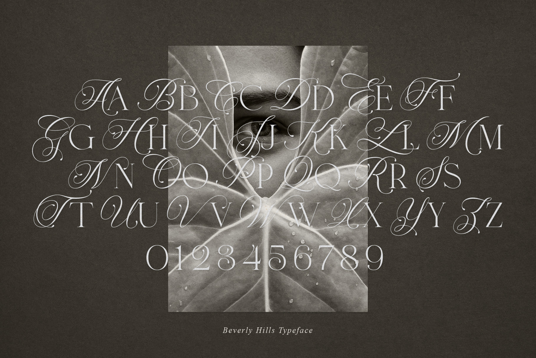 Beverly Hills | Ligature Serif, Fonts | GraphicRiver