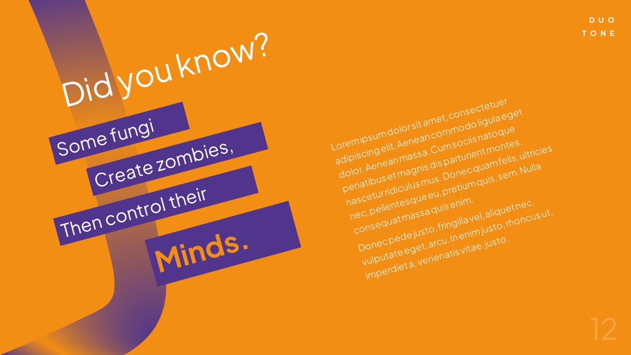 Duotone Creative Multipurpose PowerPoint Template, Presentation Templates