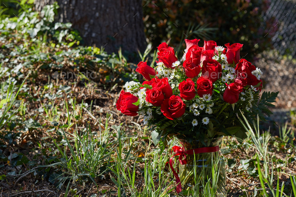 Beautiful fresh bunch of flowers in the flower vase at the Garden Stock ...
