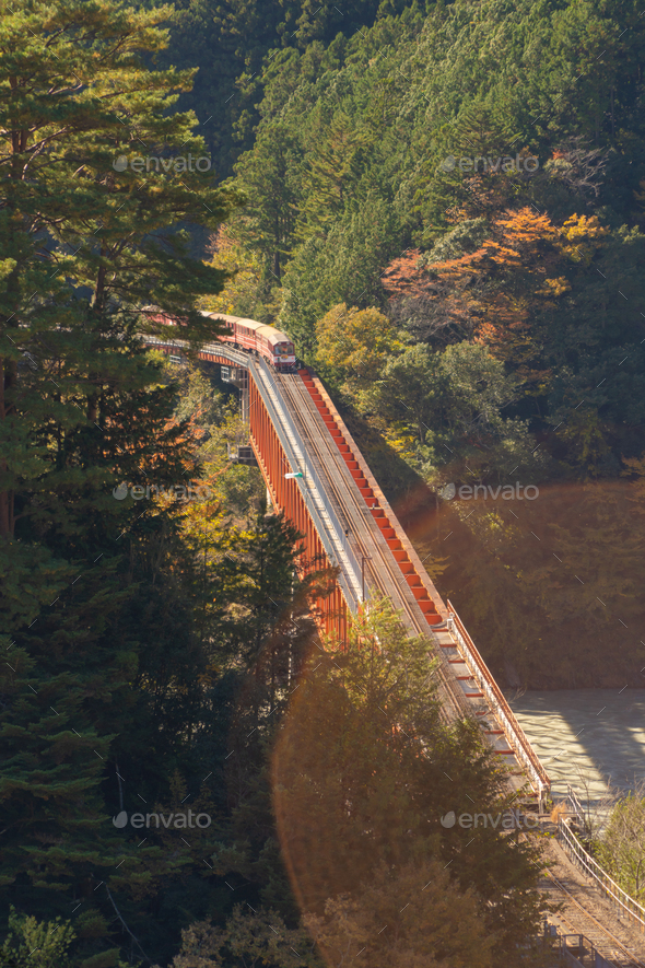 The steam train crossing Oigawa Railroad to go to station and blue ...