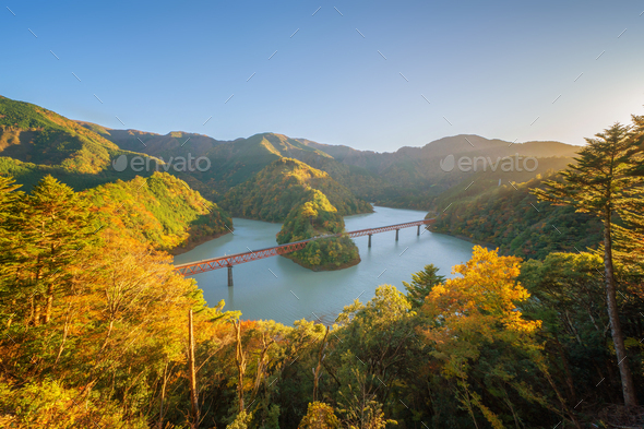 The steam train crossing Oigawa Railroad to go to station and blue ...