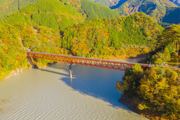 The steam train crossing Oigawa Railroad to go to station and blue ...