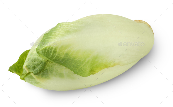 Isolated fresh endive Stock Photo by photomaru | PhotoDune