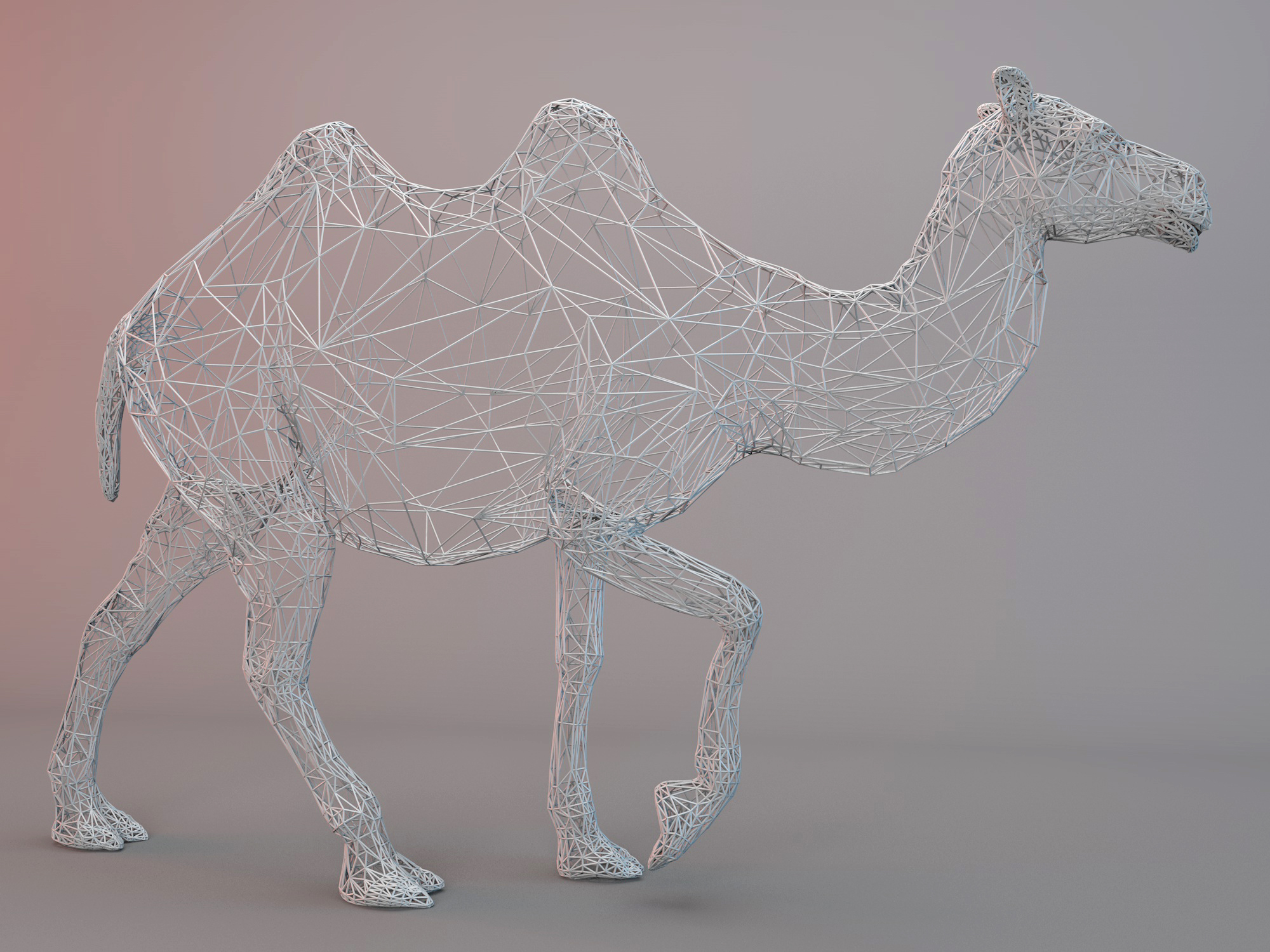 CAMEL WIREFRAME by DoVanThiep | 3DOcean