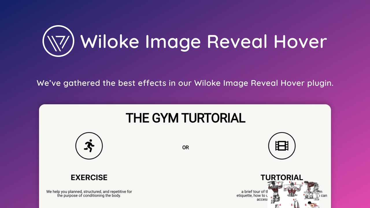 Wiloke Image Reveal Hover Effects Addon For Elementor by wiloke | CodeCanyon