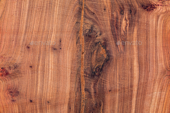 Tree plank texture for background. Cut tree trunk texture. Wood texture ...